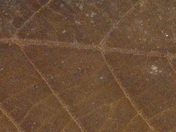 texture 0103 - Texturelib